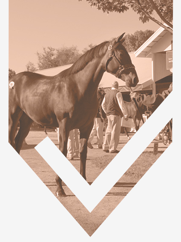 Charlie Boden Portfolio Management