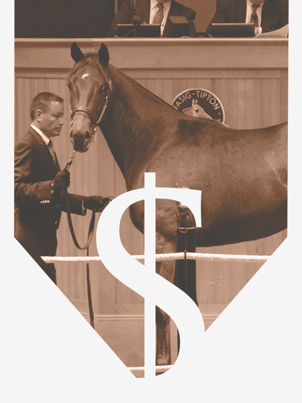 Charlie Boden Portfolio Management