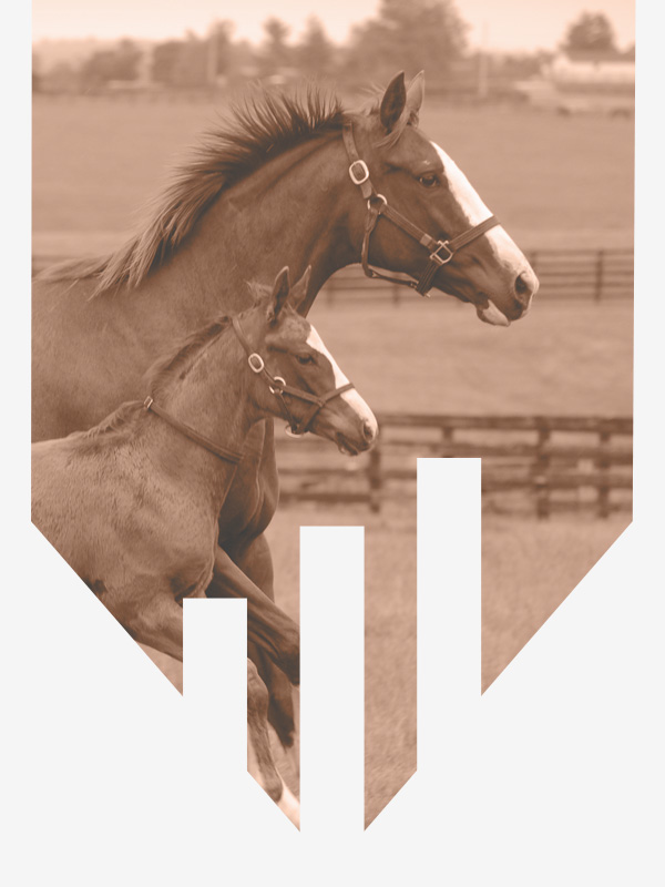 Charlie Boden Portfolio Management