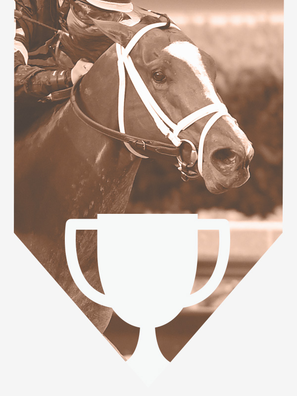 Charlie Boden Portfolio Management